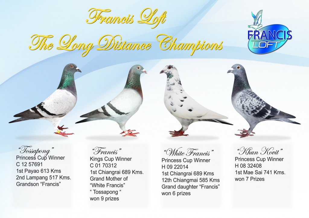 The Long Distance Champions ยอดนกแชมป์พระราชทานระยะทางไกล